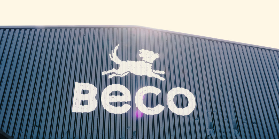 Beco | Impact | Setting up Beco HQ