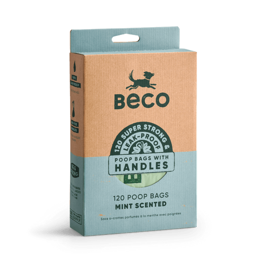 Beco Steady Cat Bowl | BECO - Love your dog, love our planet