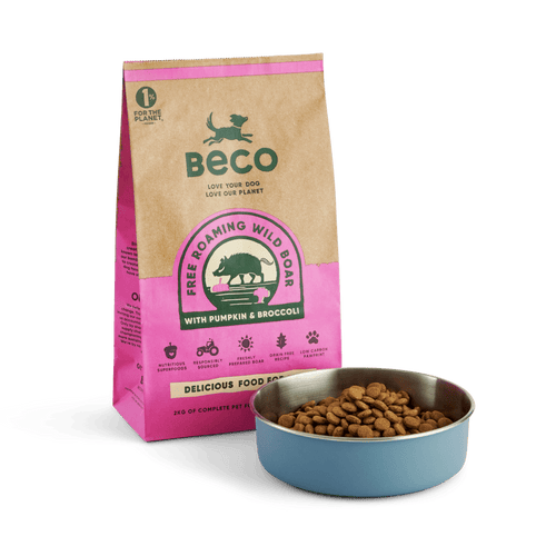 Wild Boar Dog Food | Grain Free Dry Dog Food | Beco Pets