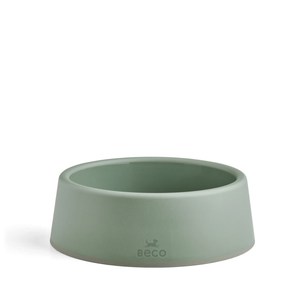Dog Accessories, Cat Accessories & Pet Food Accessories – Beco