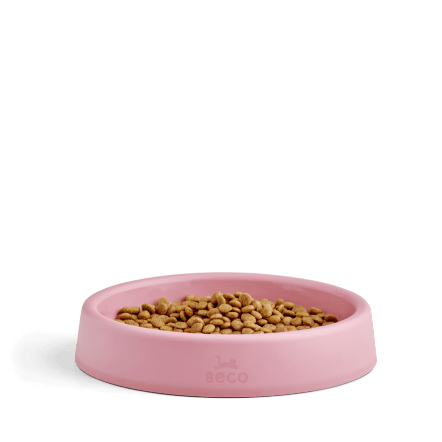Whisker-Friendly Cat Bowls | Shallow Food & Water Dishes – Beco