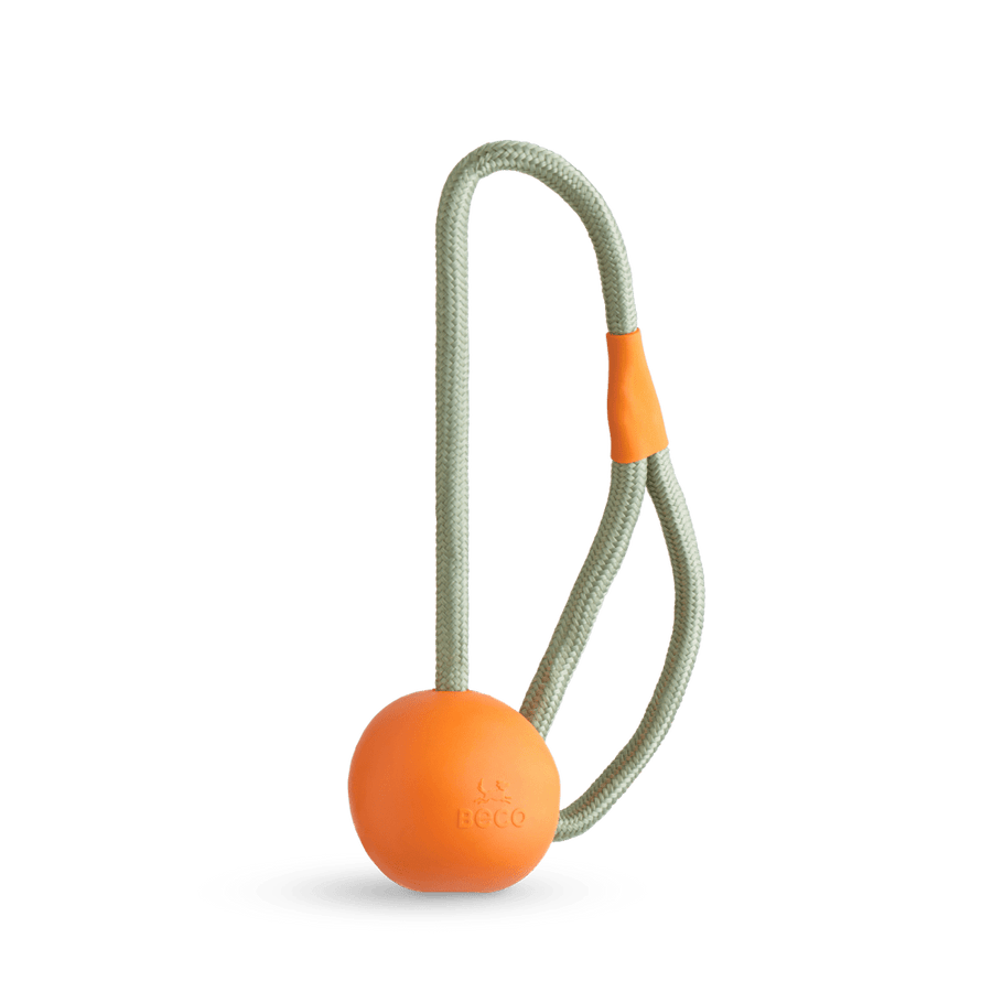 Rubber Dog Toys | Safe & Long-Lasting – Beco