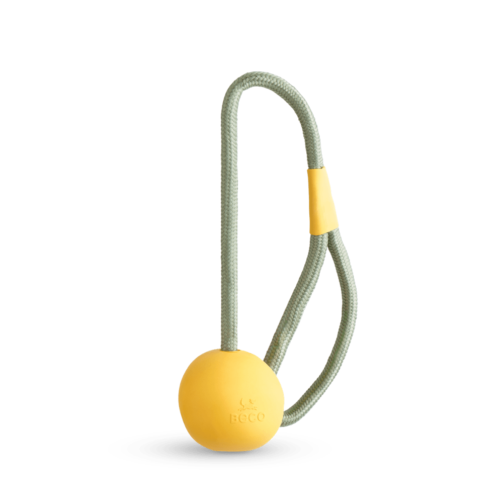 Rubber Dog Ball | Dog Ball With Rope for Active Play – Beco