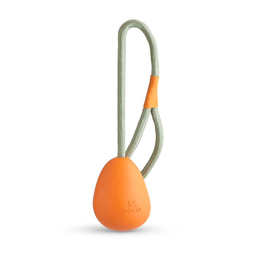Rubber Egg Dog Toy | Fun Slinger Dog Toy – Beco