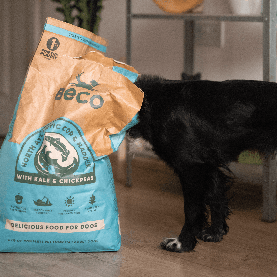 Fish Dog Food | Cod & Haddock Recipe – Beco