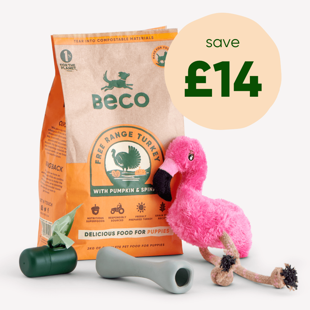 All Products – Beco
