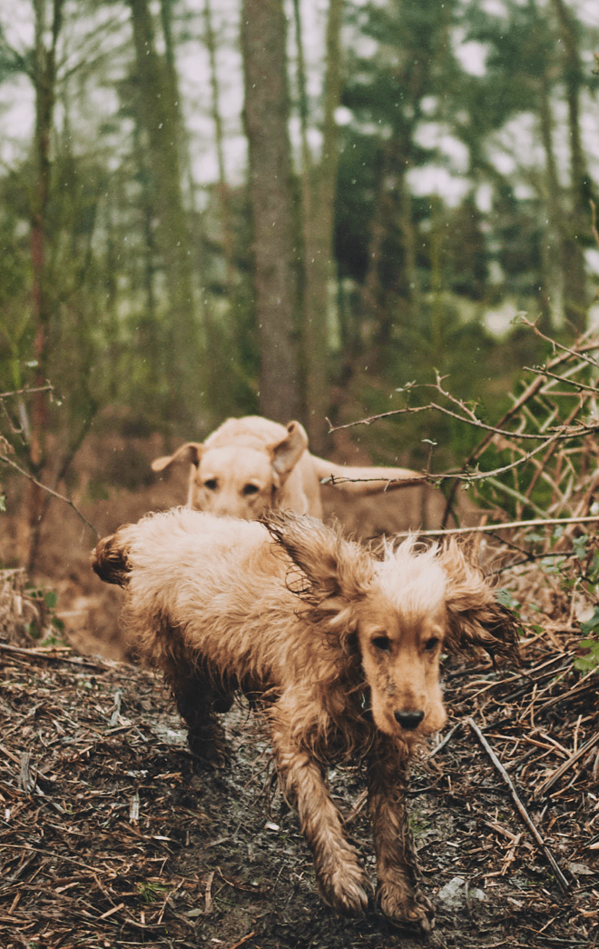 2024 Adventures Await