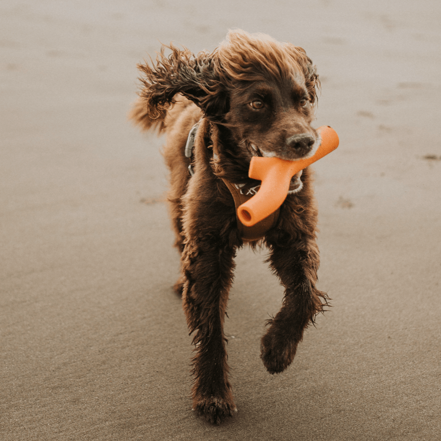 Rubber Stick Dog Toy | No More Splinters – Beco