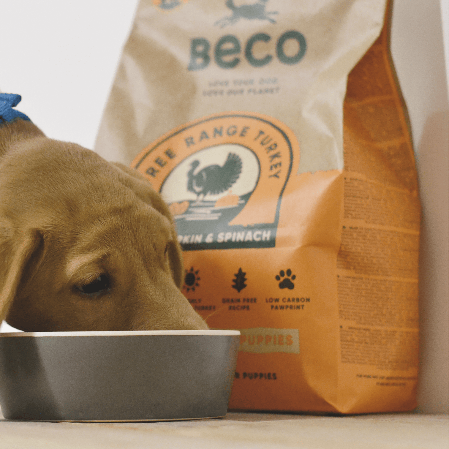 Beco - Food, Poop Bags, Toys, Grooming Wipes & More