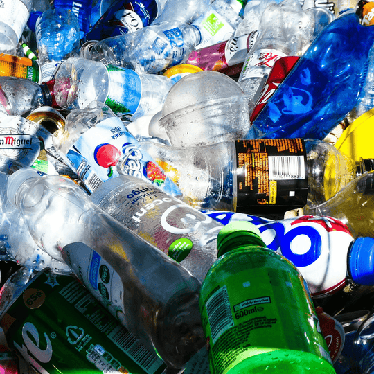 Sloth Dog Toy | Squeaky & Durable – Beco