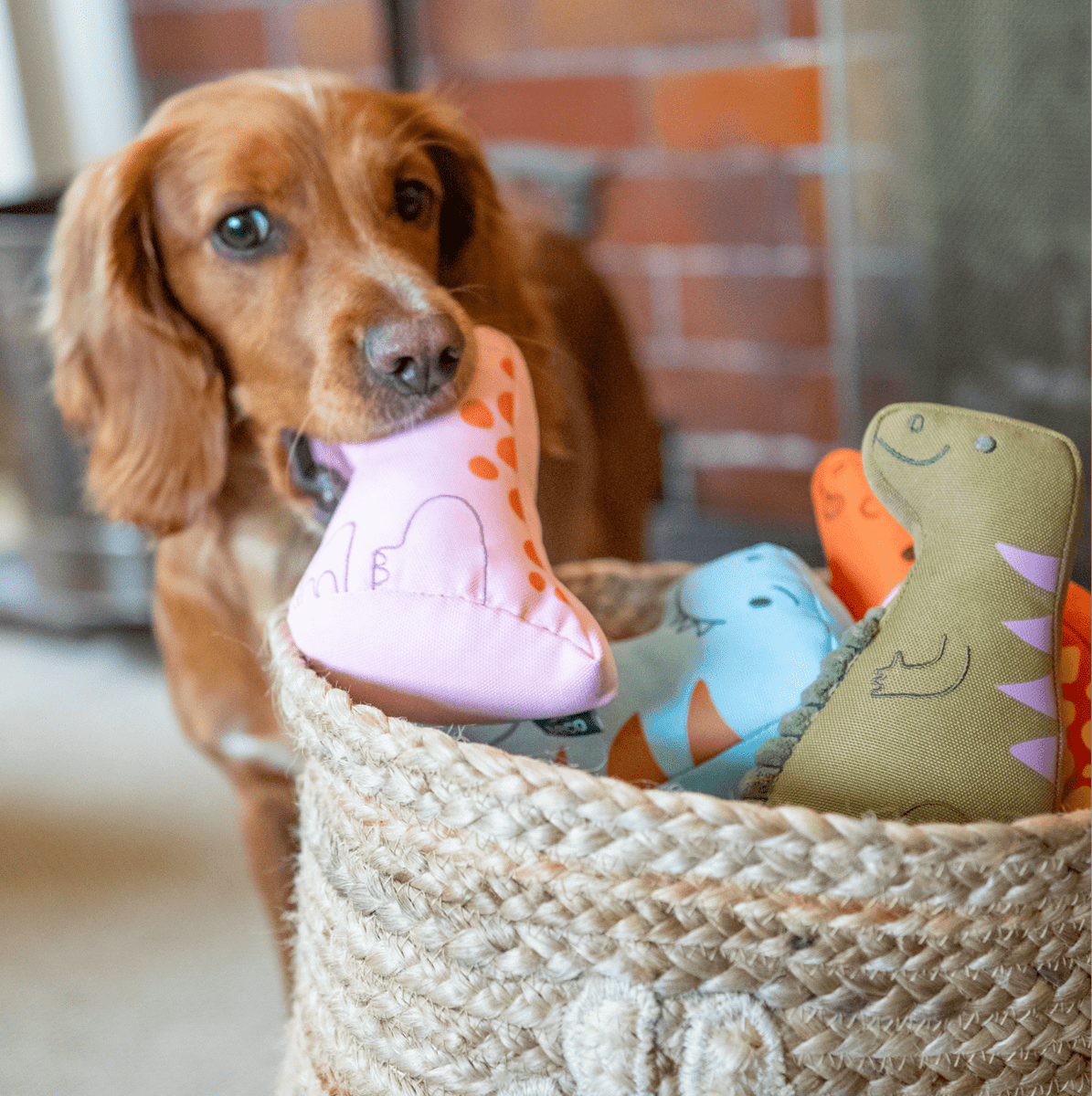 Recycled Soft Iguanodon | BECO - Love your dog, love our planet – Beco