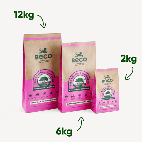 Wild Boar Dog Food | Grain Free Dry Dog Food | Beco Pets