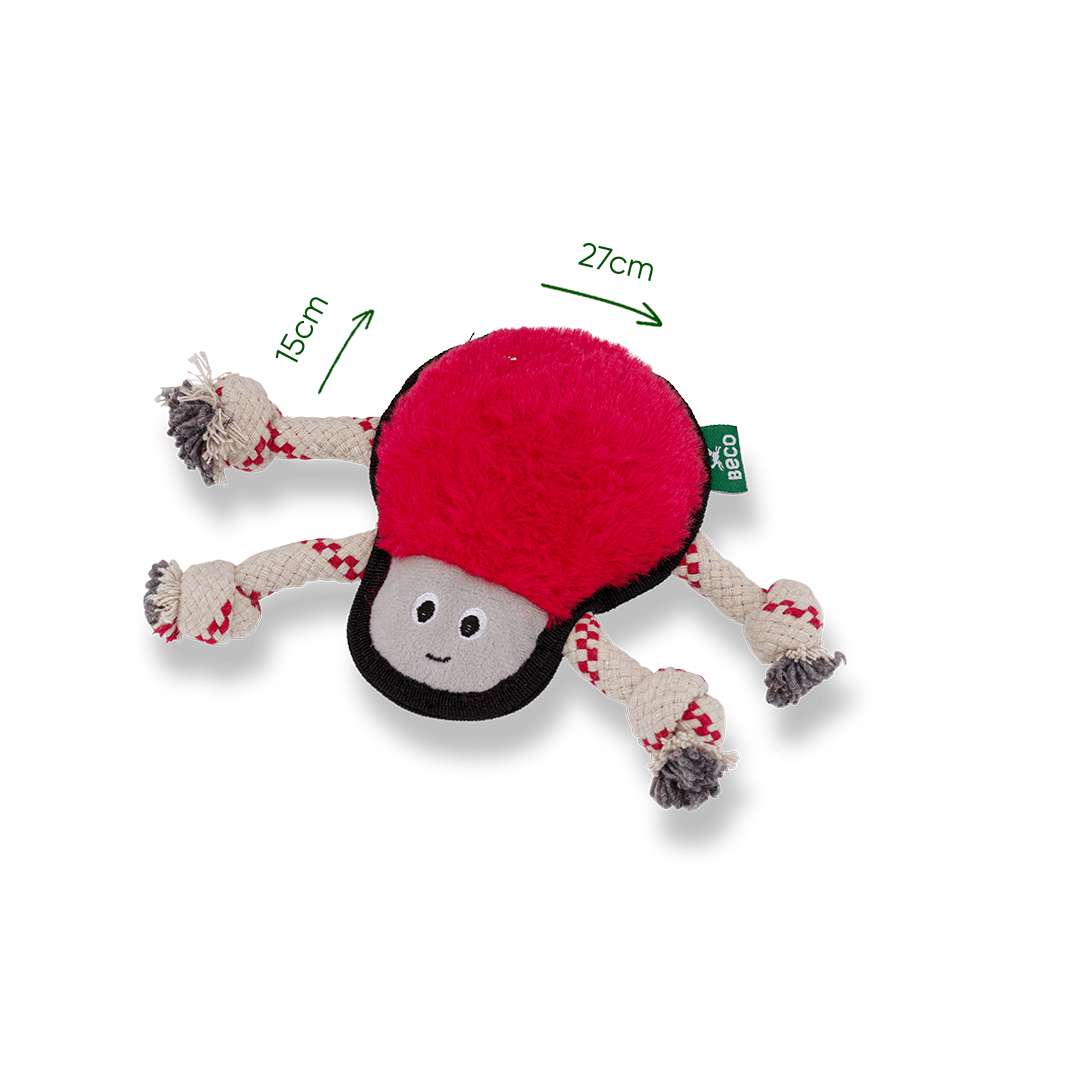 Spider Dog Toy | Squeaky & Durable – Beco